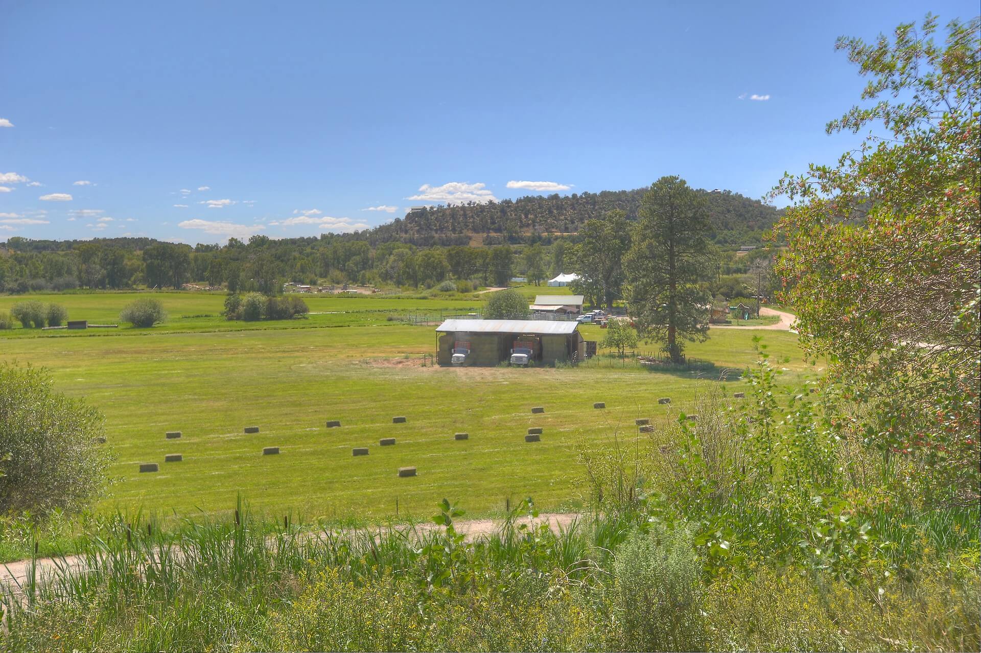 The Loft - LePlatts Pond